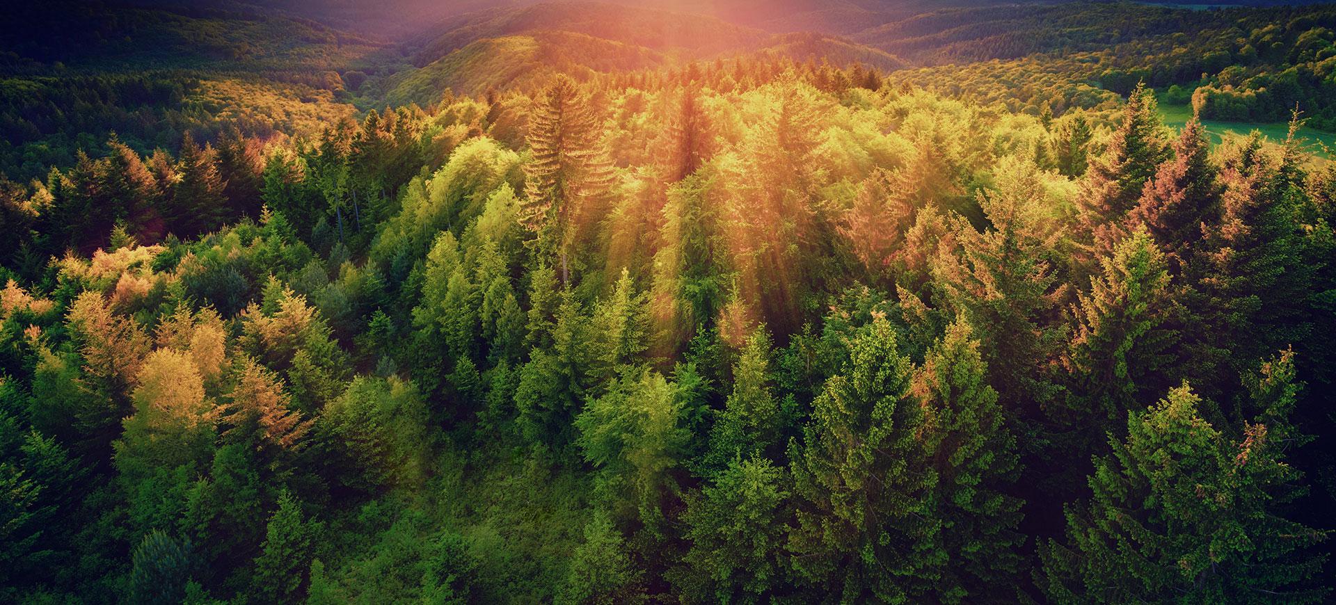 O nama | Vision | Huawei Digital Power